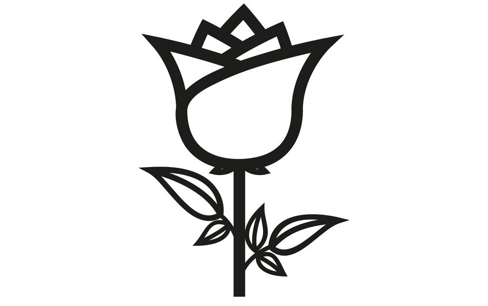 Marissa Zayed – ASCJ200